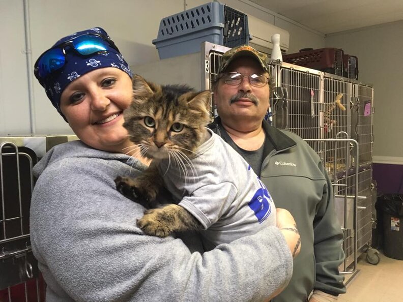 Rescue Cat Loves His Foster Kittens So Much - The Dodo