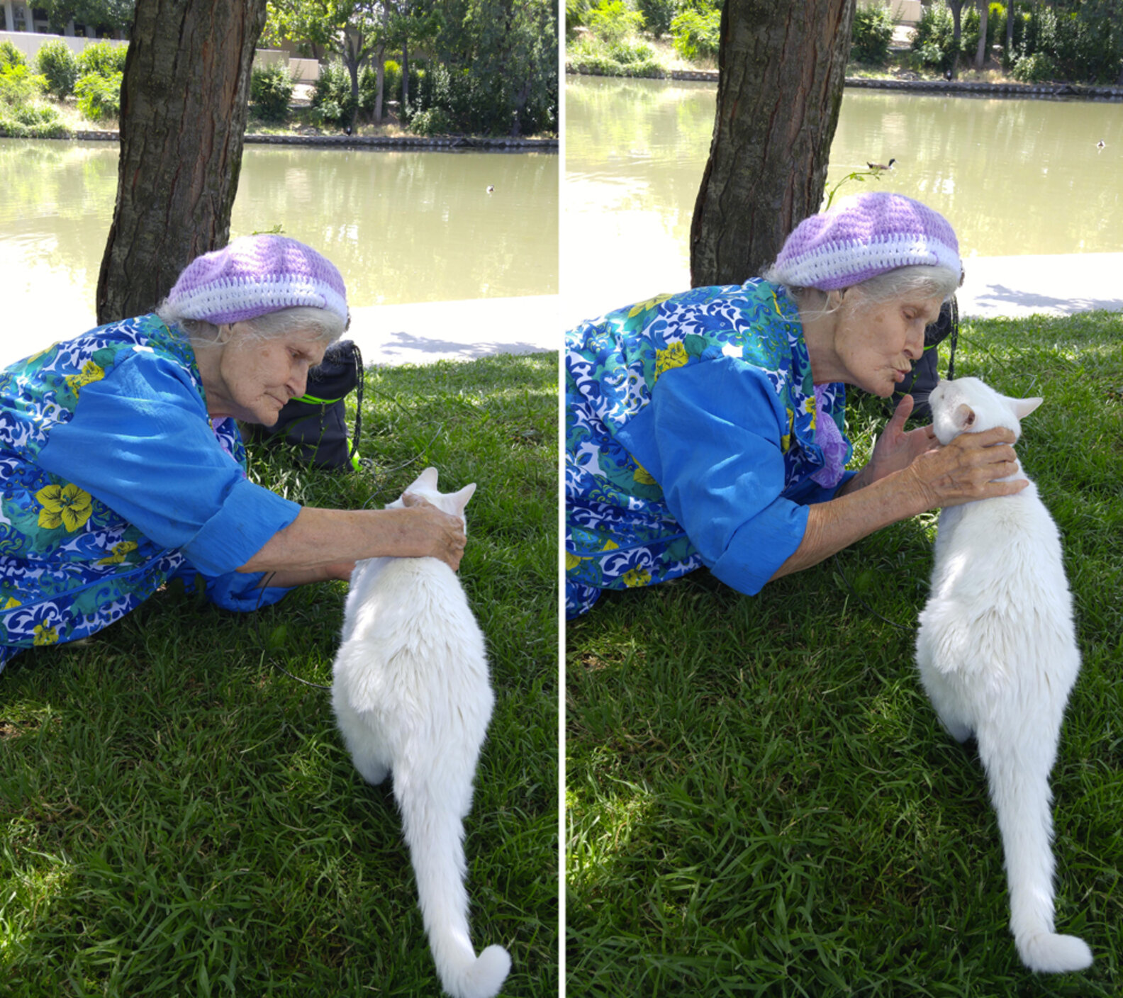 Meeting Stranger's Cat Transformed This Lady Into A Kid Again - The Dodo