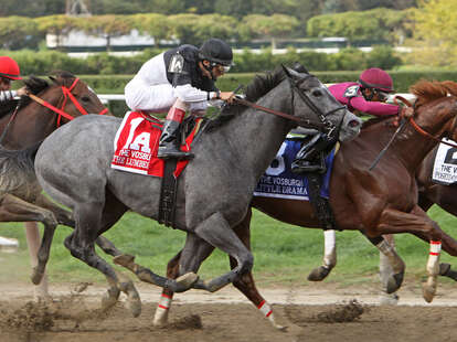 Belmont Stakes 2017 Race Guide: Tickets, Odds, How to Watch & More ...