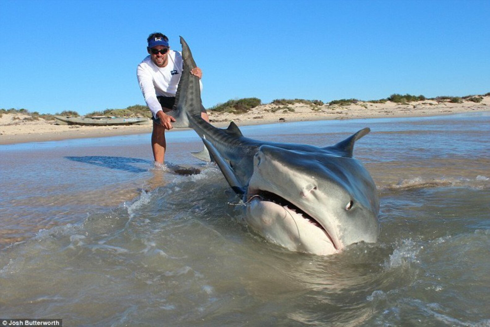 Men Drag 10 Sharks Out Of Ocean Just To Take Selfies With Them - The Dodo