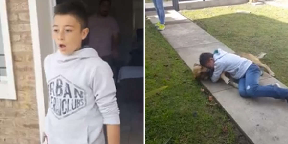 Boy Bursts Into Tears As He Reunites With His Missing Dog - The Dodo
