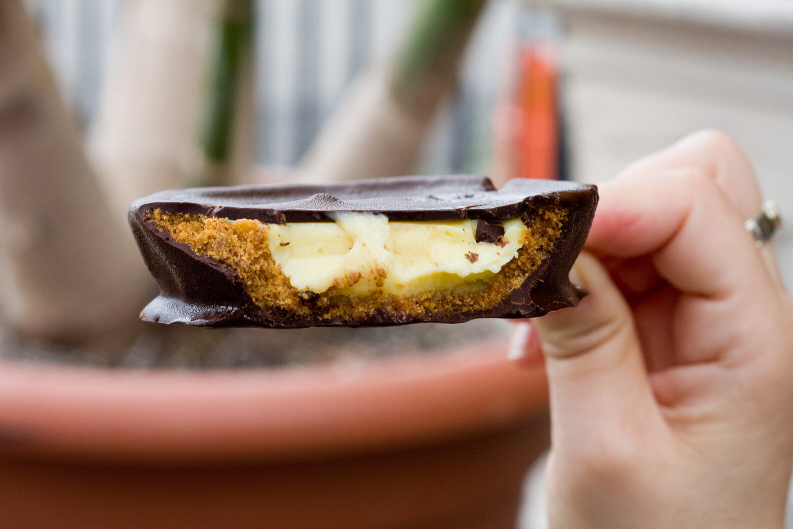 Best Restaurants & Food in Red Hook, Brooklyn - Thrillist