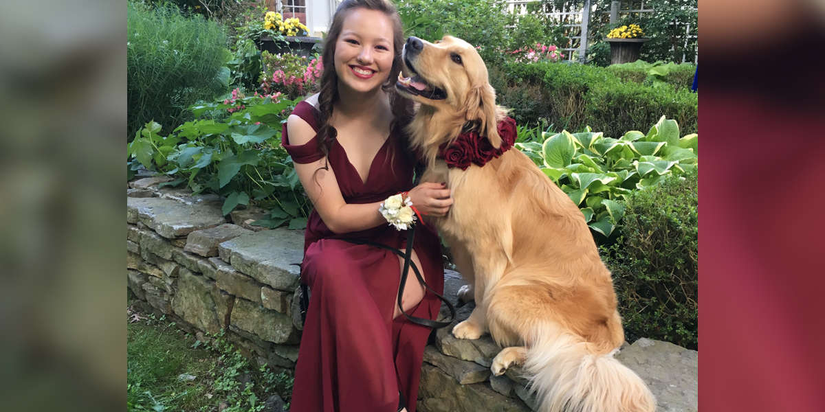 Service Dog Wouldn't Miss Her Girl's Prom For The World - The Dodo