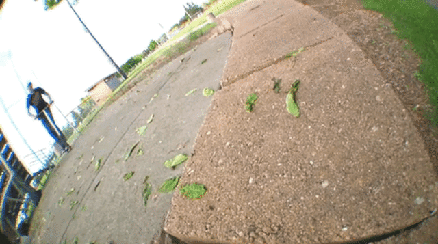 Razor Scooter Tricks: We Found the Best Razor Scooter Video Online ...