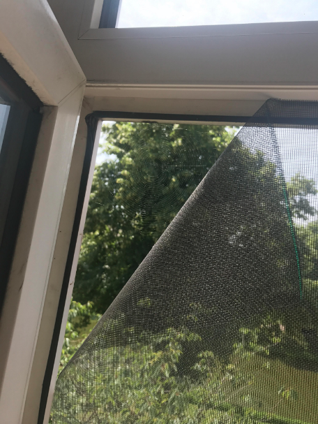 Very Nice Spider Patches Up Guy's Broken Screen - The Dodo