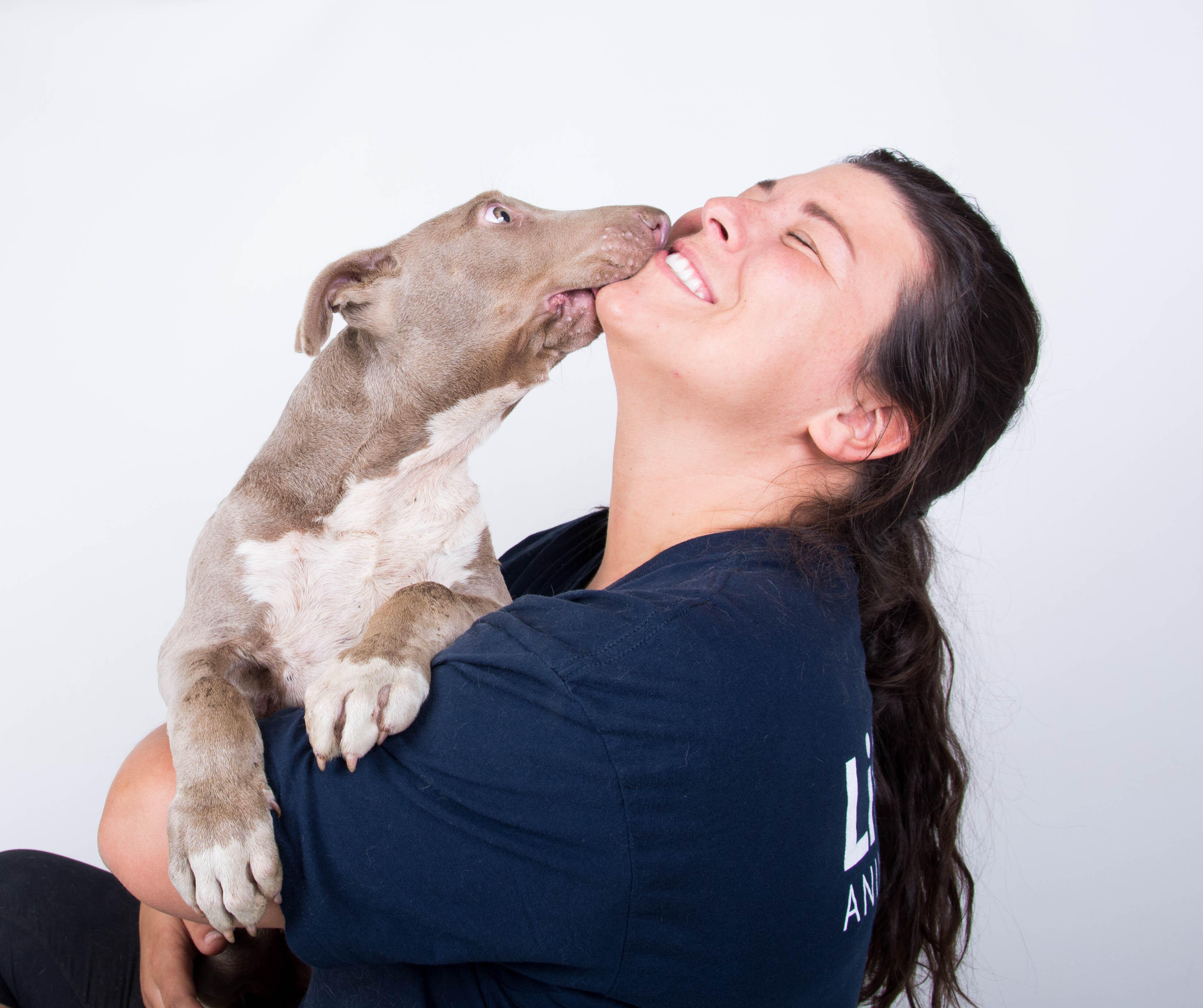 Pit Bull Puppy With Overbite Needs Forever Family - The Dodo