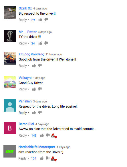 Driver Reacts In A Split Second To Avoid Hitting Squirrel During Race ...