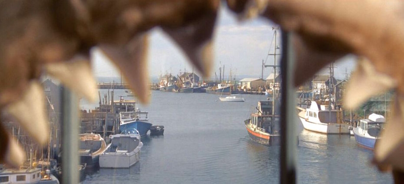 Great Movies That Survived Behind the Scenes Disasters on Set - Thrillist