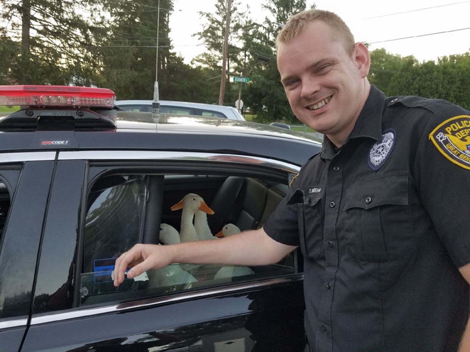 Duck Friends Go Out For A Night On The Town — And Wind Up Arrested ...