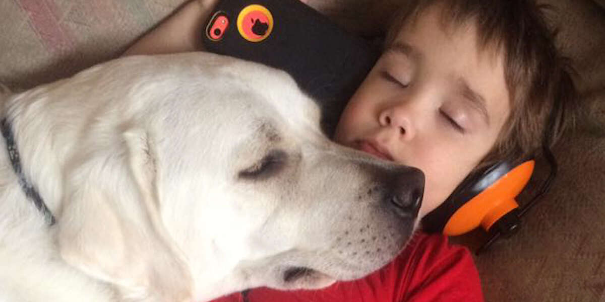 Boy With Autism Gets A Dog Who Changes His Life - Videos - The Dodo