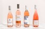 Best Cheap Rosé Wine on the Market - Thrillist