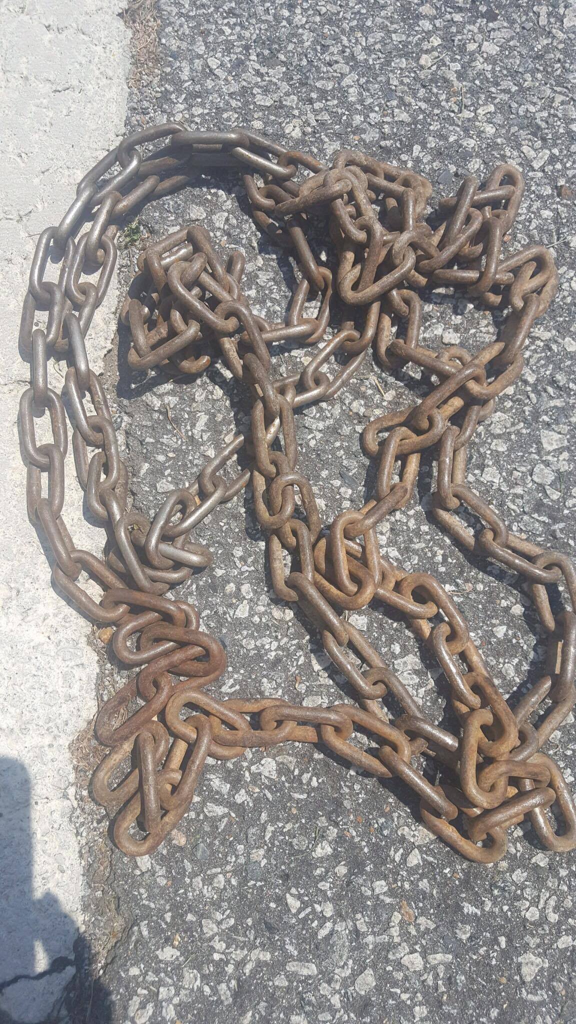 Dog Chained Up His Whole Life Has Chain Embedded In His Neck - The Dodo