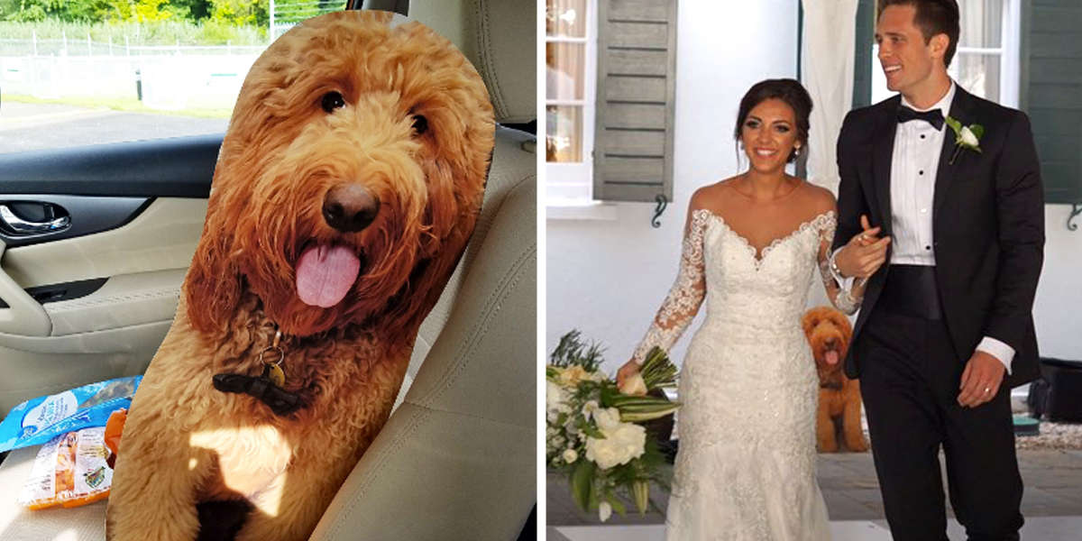 Dog Can't Make It To Wedding, So Bride's Dad Surprises Her With This ...