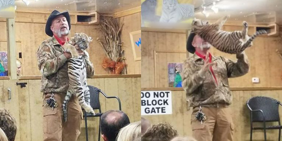 Roadside ‘Zoo’ Has Long History Of Mistreating Animals - The Dodo