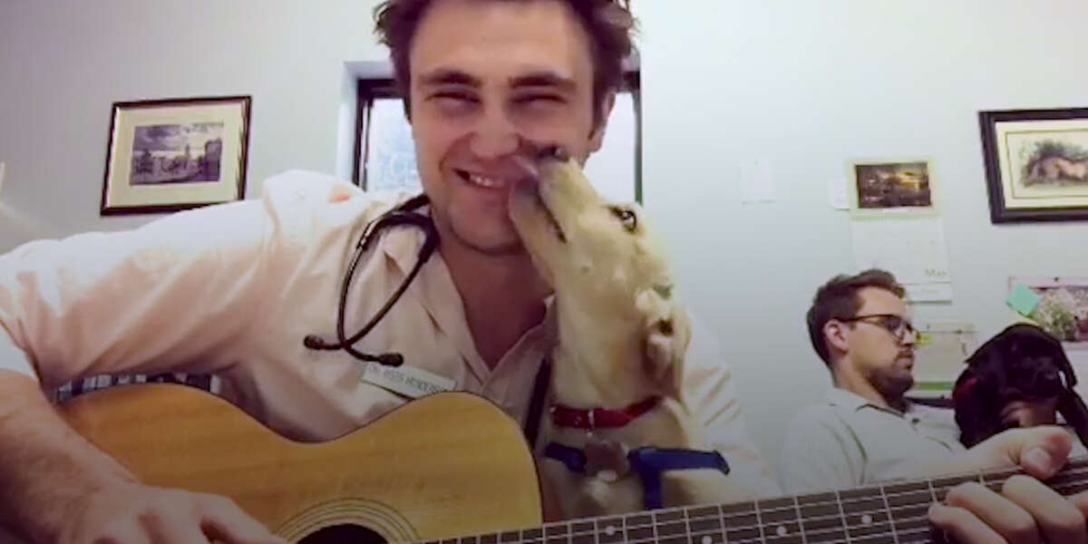 This Vet Sings To His Patients To Calm Them Down - Videos - The Dodo