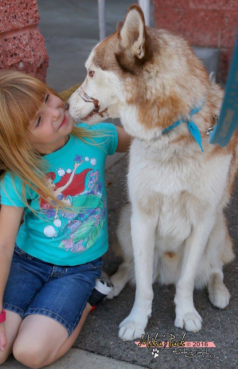 Dog Helps Kids Testify Against Abusers — Because He Knows Exactly What ...