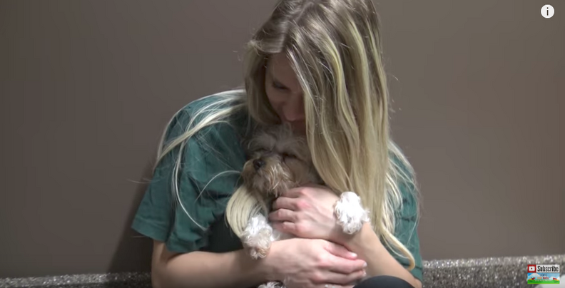 Lost Yorkie Rescued From Gas Station Tanks - The Dodo
