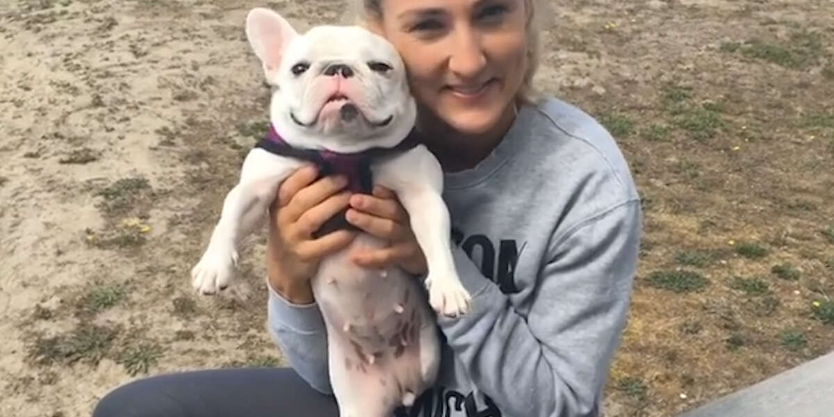 Dog With 3 Legs Finds The Perfect Mom - Videos - The Dodo