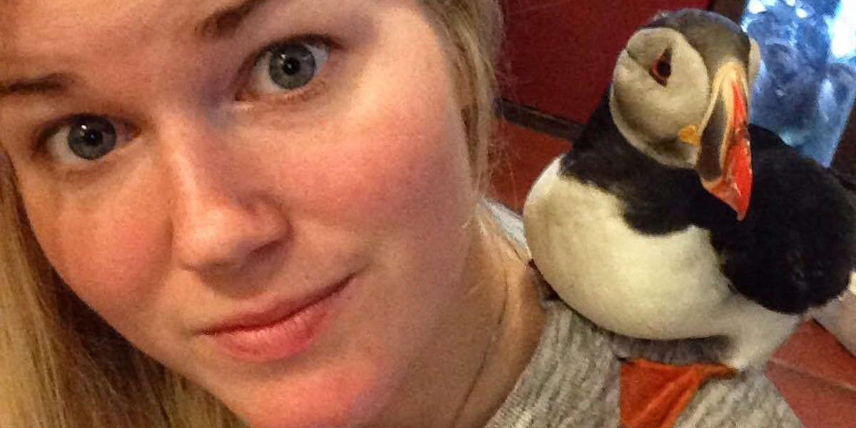 Rescued Puffin Gets Spoiled By His New Mom - Videos - The Dodo