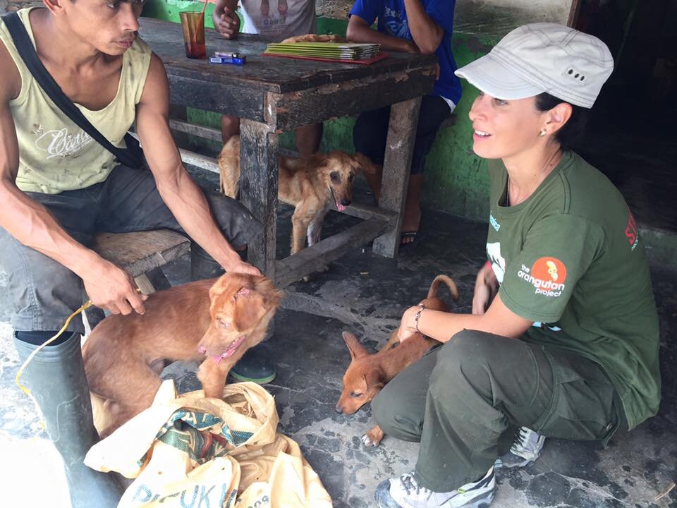 This Woman Is Helping Dogs No One Else Cares About - The Dodo