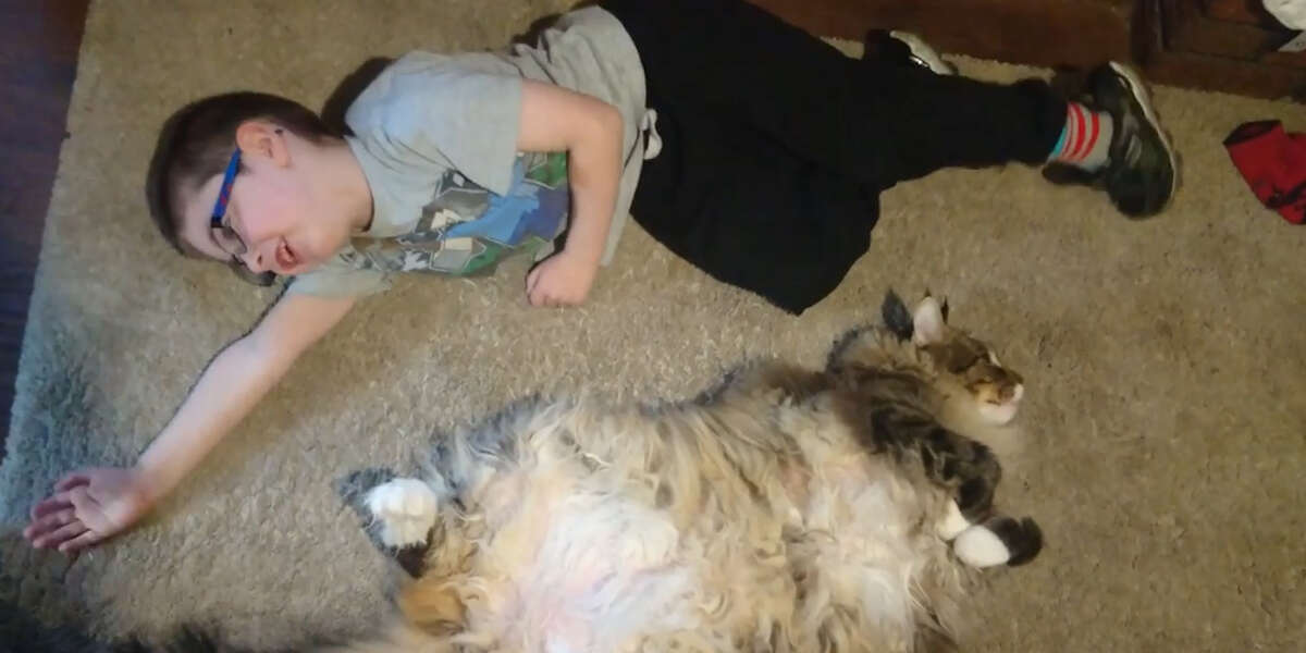 Meet The Longest Cat In The World - Videos - The Dodo