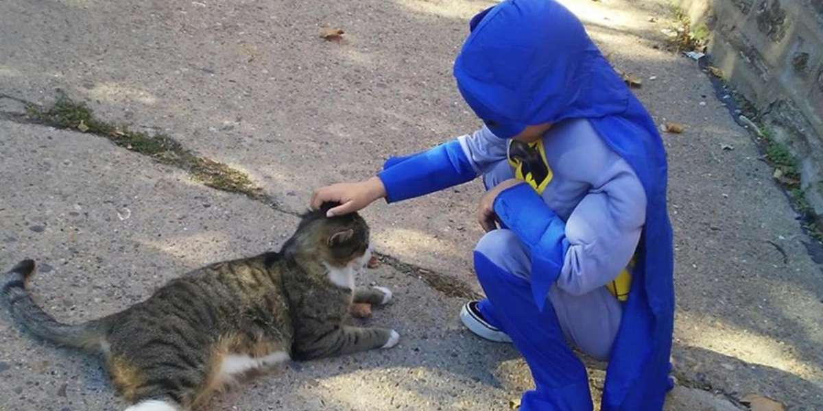 5-Year-Old Boy Wants To Do is Help Street Cats - The Dodo