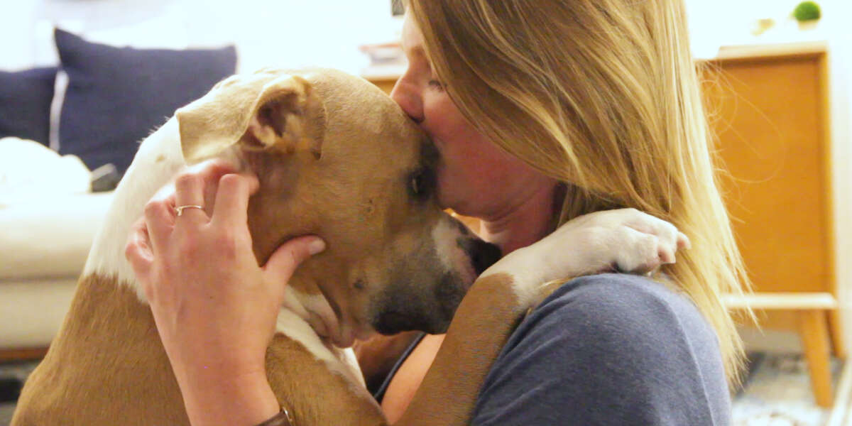 Rescue Pit Bull Can't Stop Hugging Everyone - Videos - The Dodo