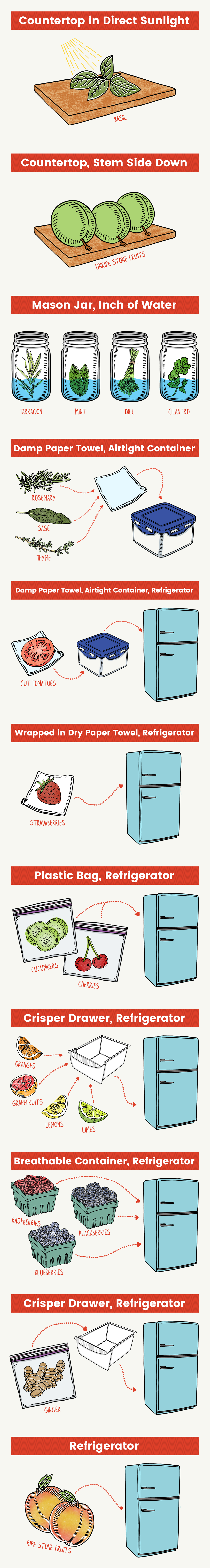 Storing Fruit: The Best Way to Store Fruit and Keep It Fresh - Thrillist