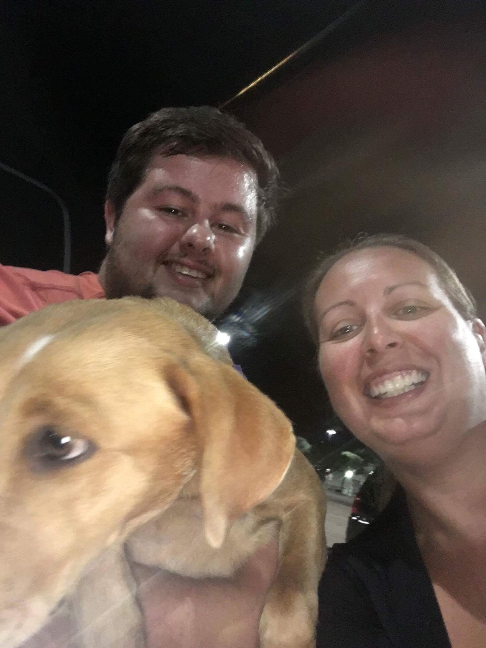 Man Drives Toward Hurricane To Rescue Dogs Trapped In Its Path - The Dodo