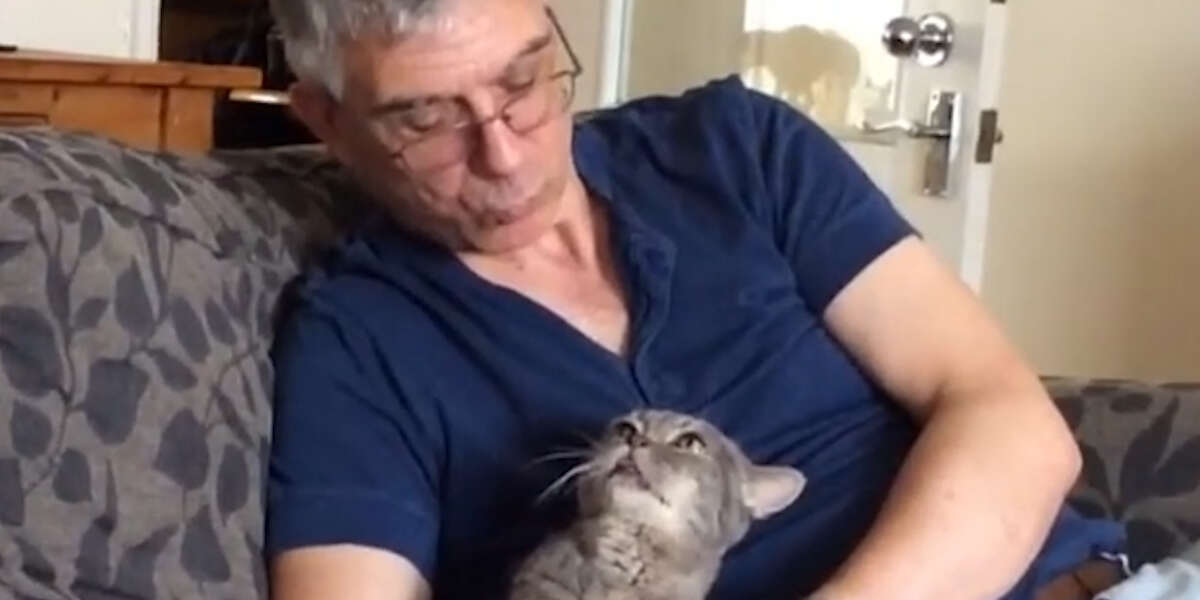Cat Loves Cuddling With His Dad Every Single Day - Videos - The Dodo