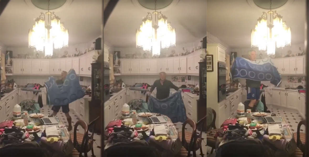 Watch This Irish Family Struggle to Remove Bat From Their Kitchen ...