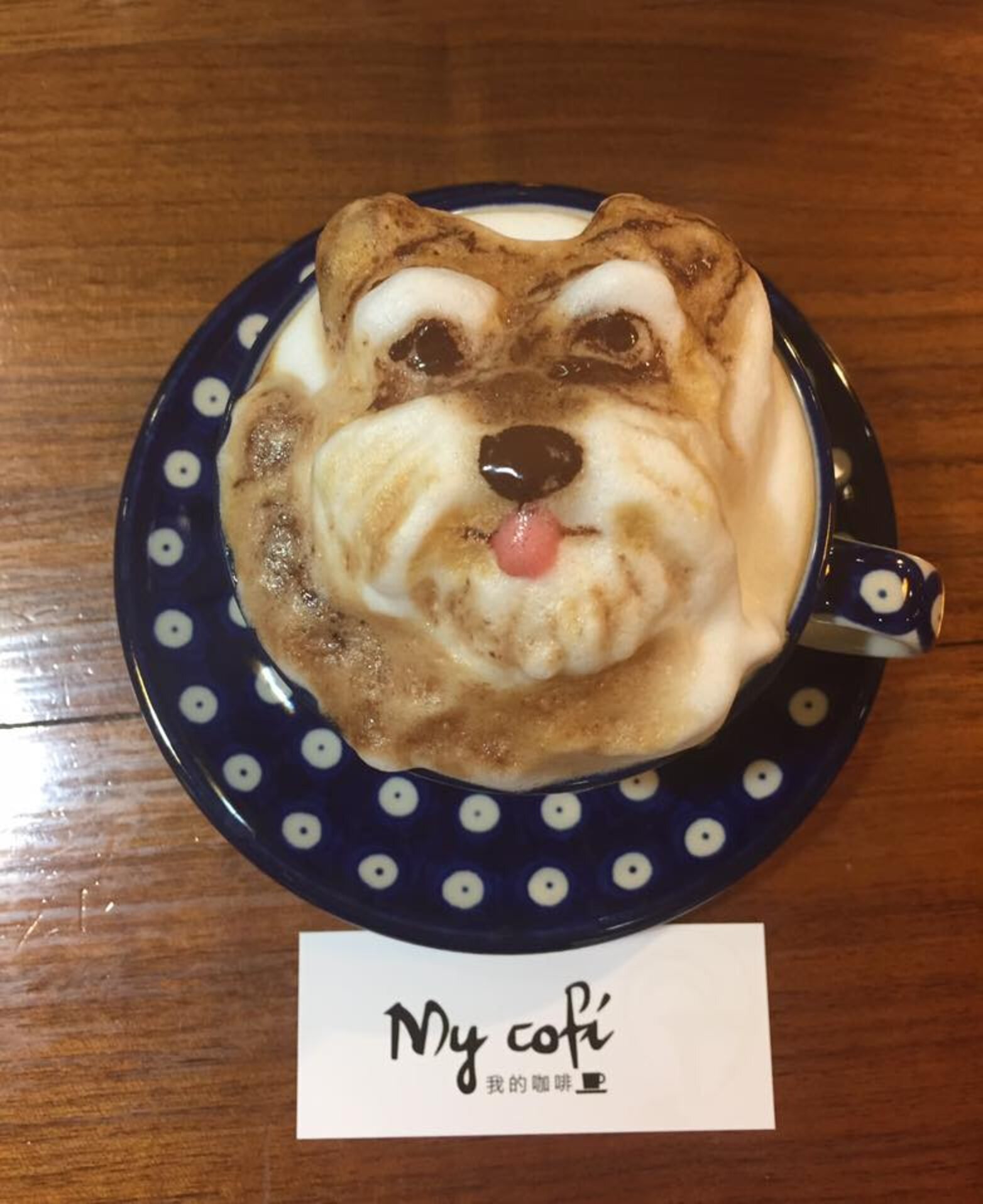Cafe Turns Pets Into Latte Art - The Dodo