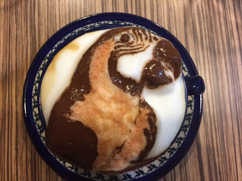 Cafe Turns Pets Into Latte Art - The Dodo