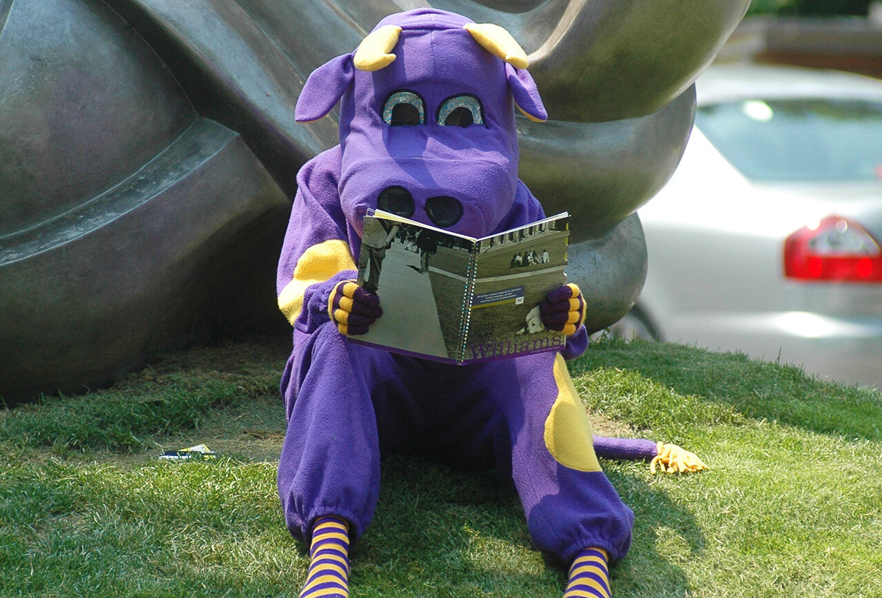 Purple College Mascots