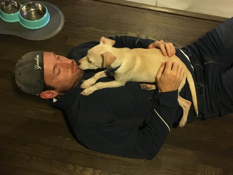 Bow Legged Dog Who Was About To Be Put Down Has The Best Dads Now - The ...