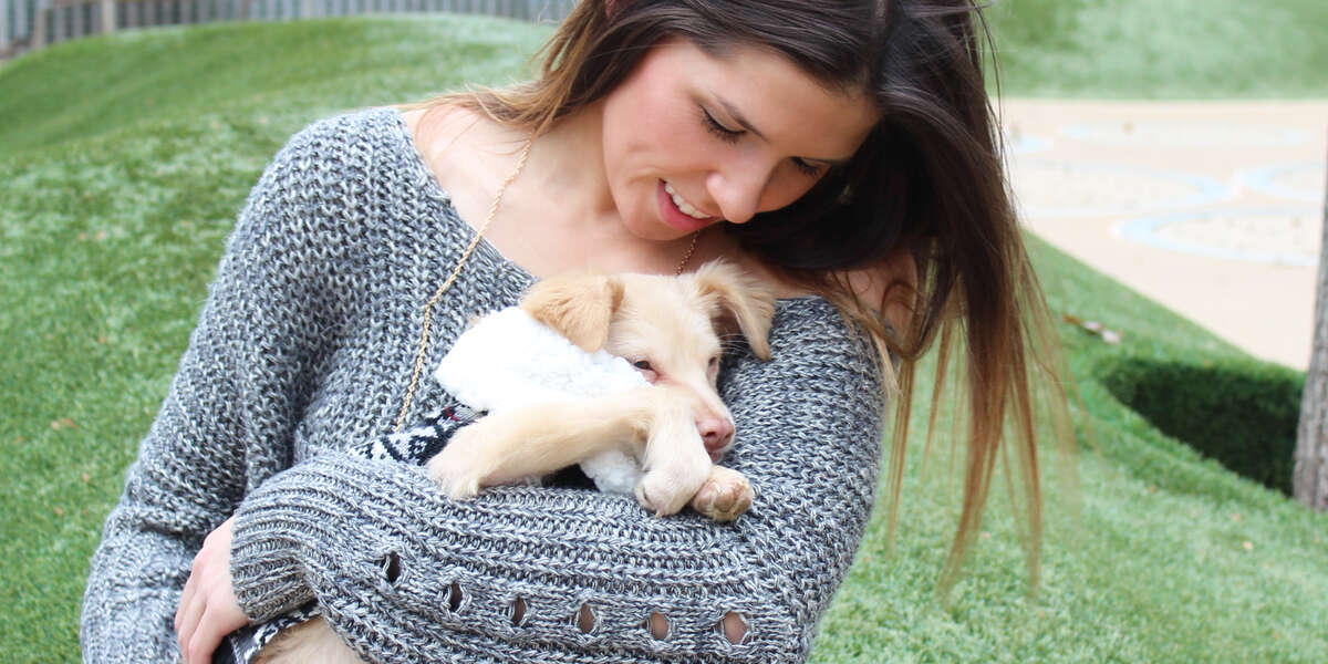 This Dog Prances Everywhere He Goes - Videos - The Dodo