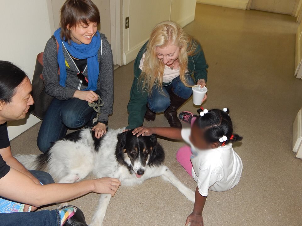 Three-Legged Dog Always Stops To Comfort People Having A Bad Day - The Dodo