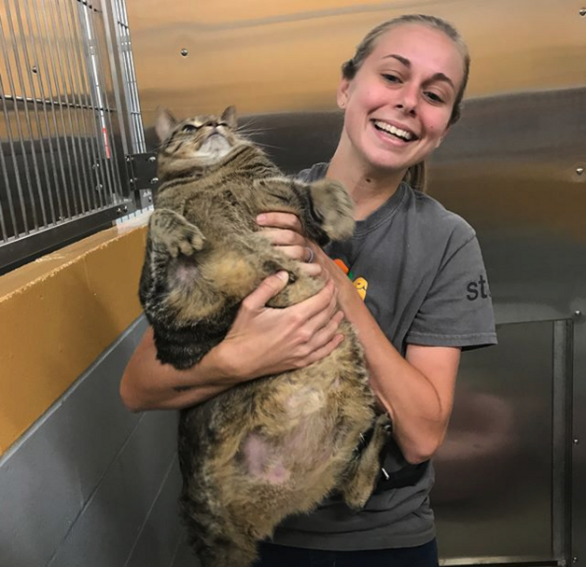 Fattest Cat At The Animal Shelter Finds A Family To Love All Of Her ...