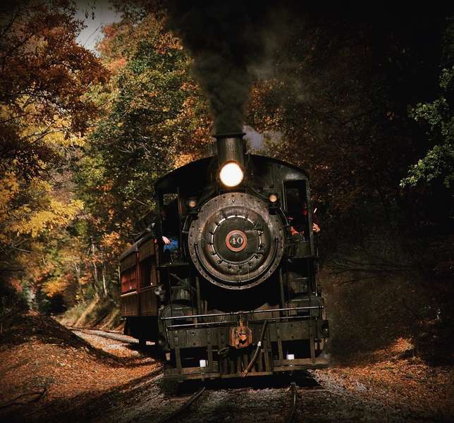 Halloween Train: Boozy $35 Ride from New Hope & Ivyland Railroad ...