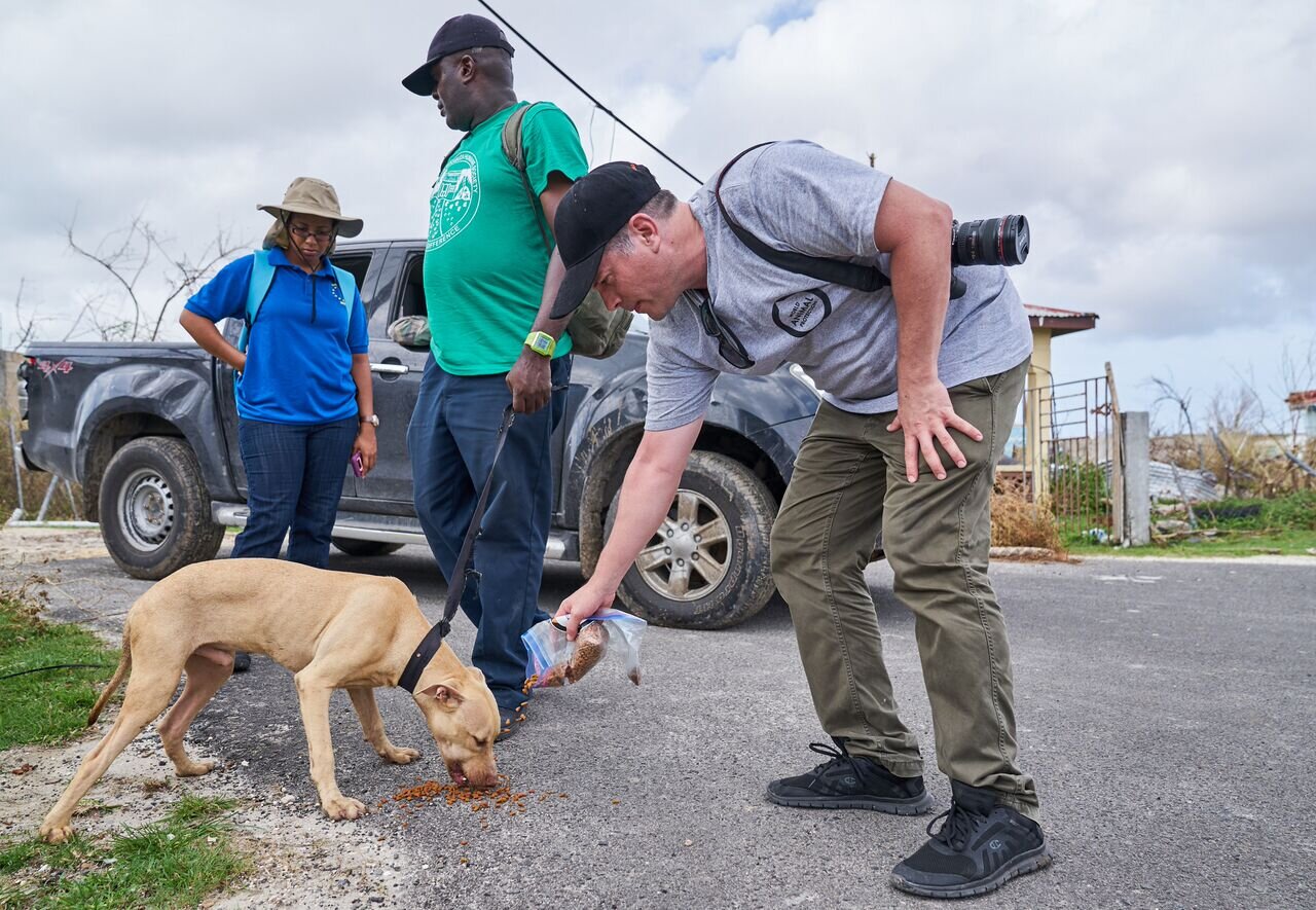 Dog Left Behind In Hurricane Was So Happy When Help Arrived - The Dodo