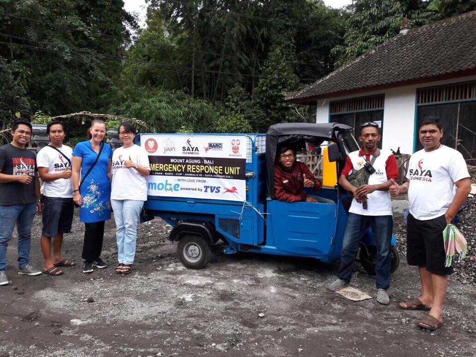 People Are Rescuing Thousands Of Animals Before Bali Volcano Eruption ...