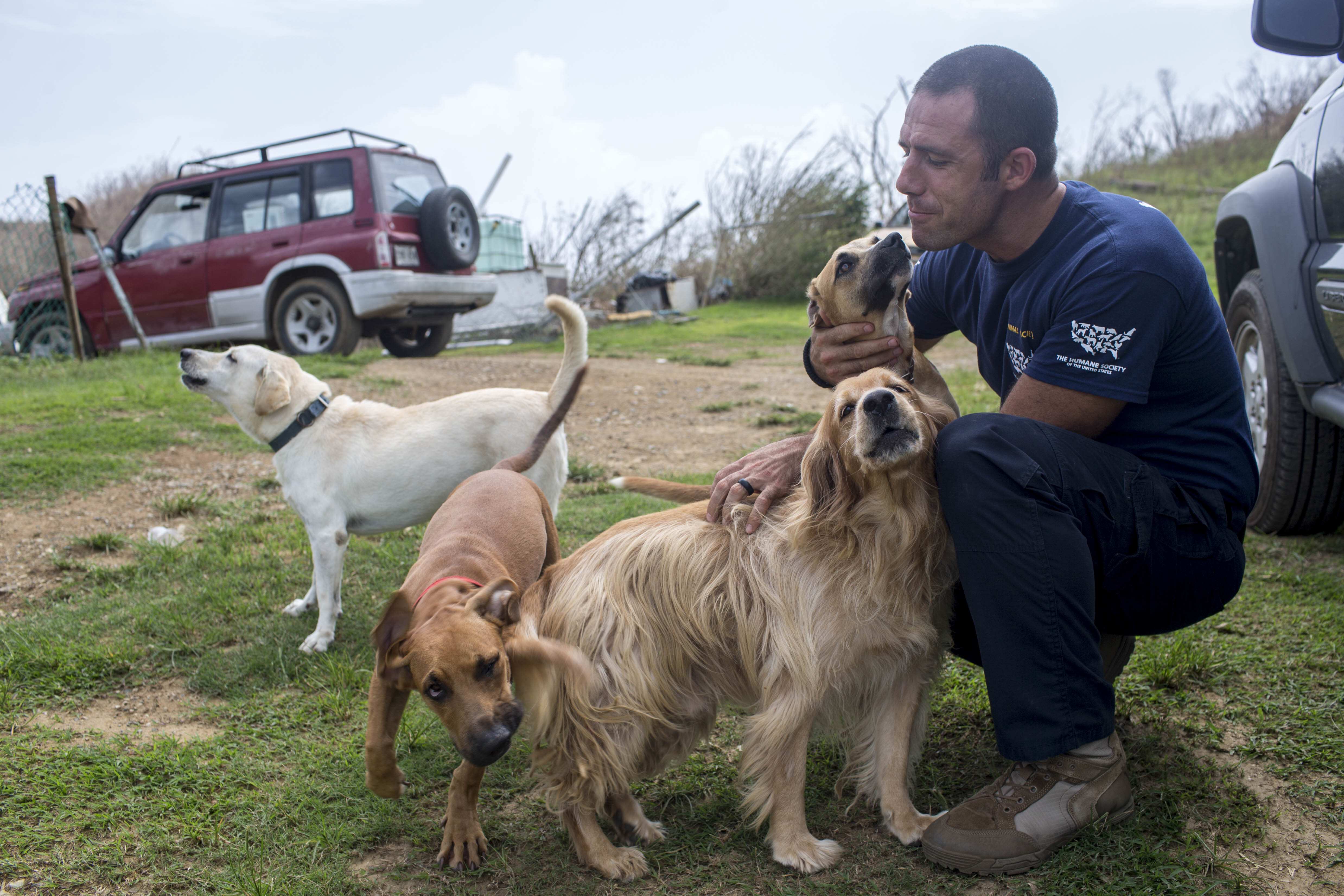 Rescuers Rush To Help The Animals On Isolated Island Of Vieques - The Dodo