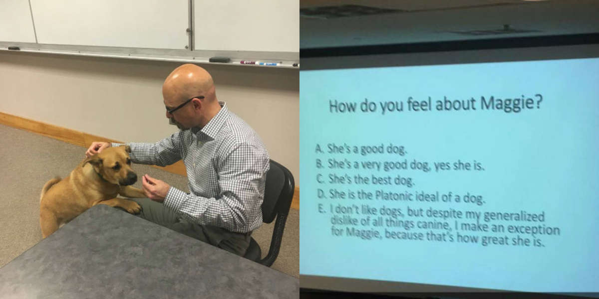 Professor Gives The Best Quiz About His Dog - The Dodo