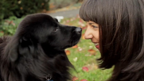 This Dog Has The Cutest Shy Smile - Videos - The Dodo