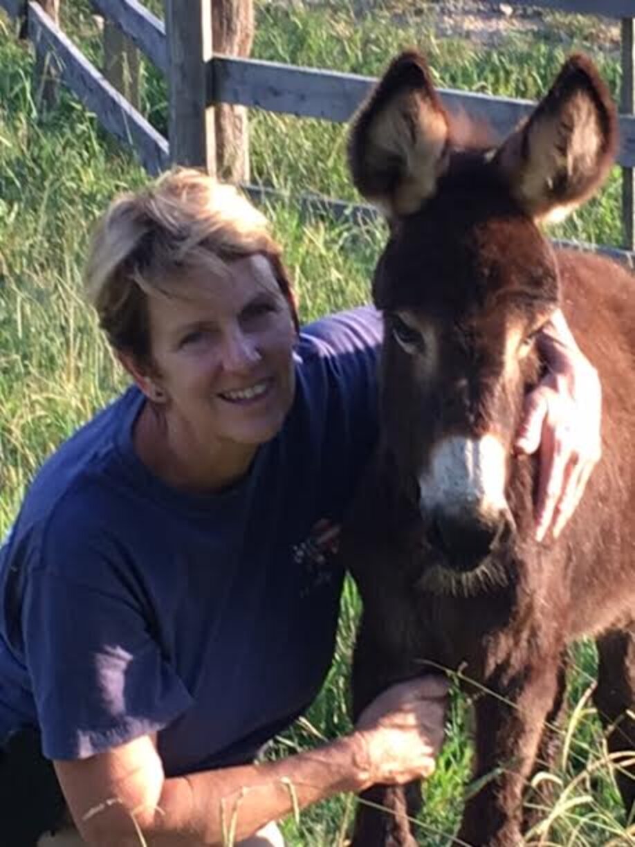 Baby Donkey Falls In Love With Woman Who Rescued Him - The Dodo