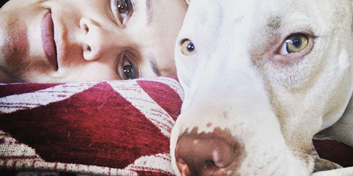 Incredible Rescue Pit Bull Helps Her Mom Overcome Cancer - Videos - The ...