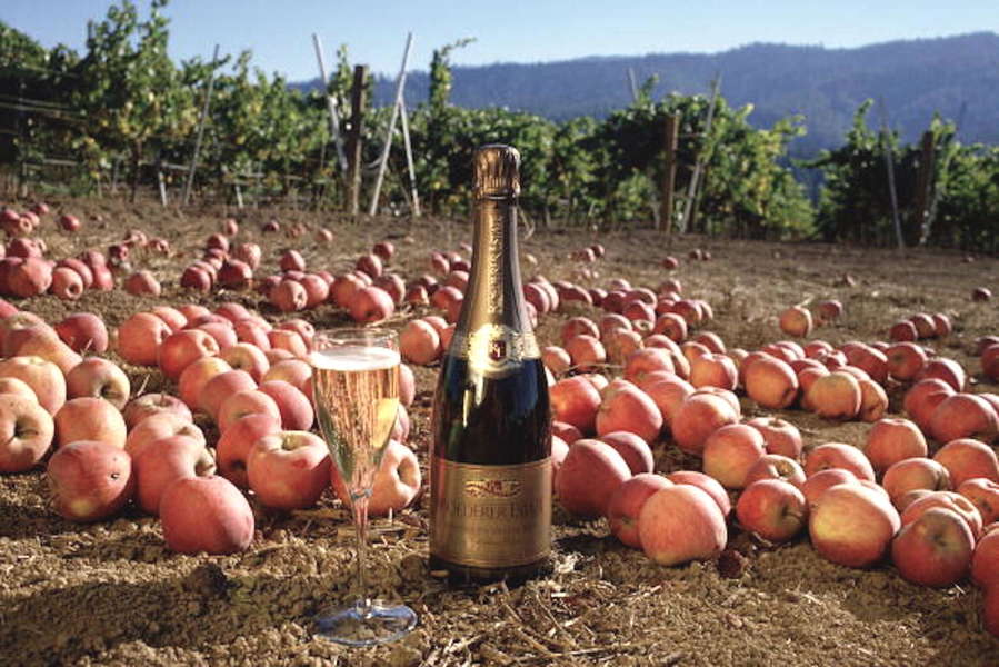 Mimosa Variations: How to Make the Best Seasonal Mimosas for Fall ...