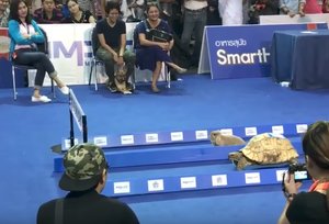 Best Seattle Strip Clubs - Thrillist