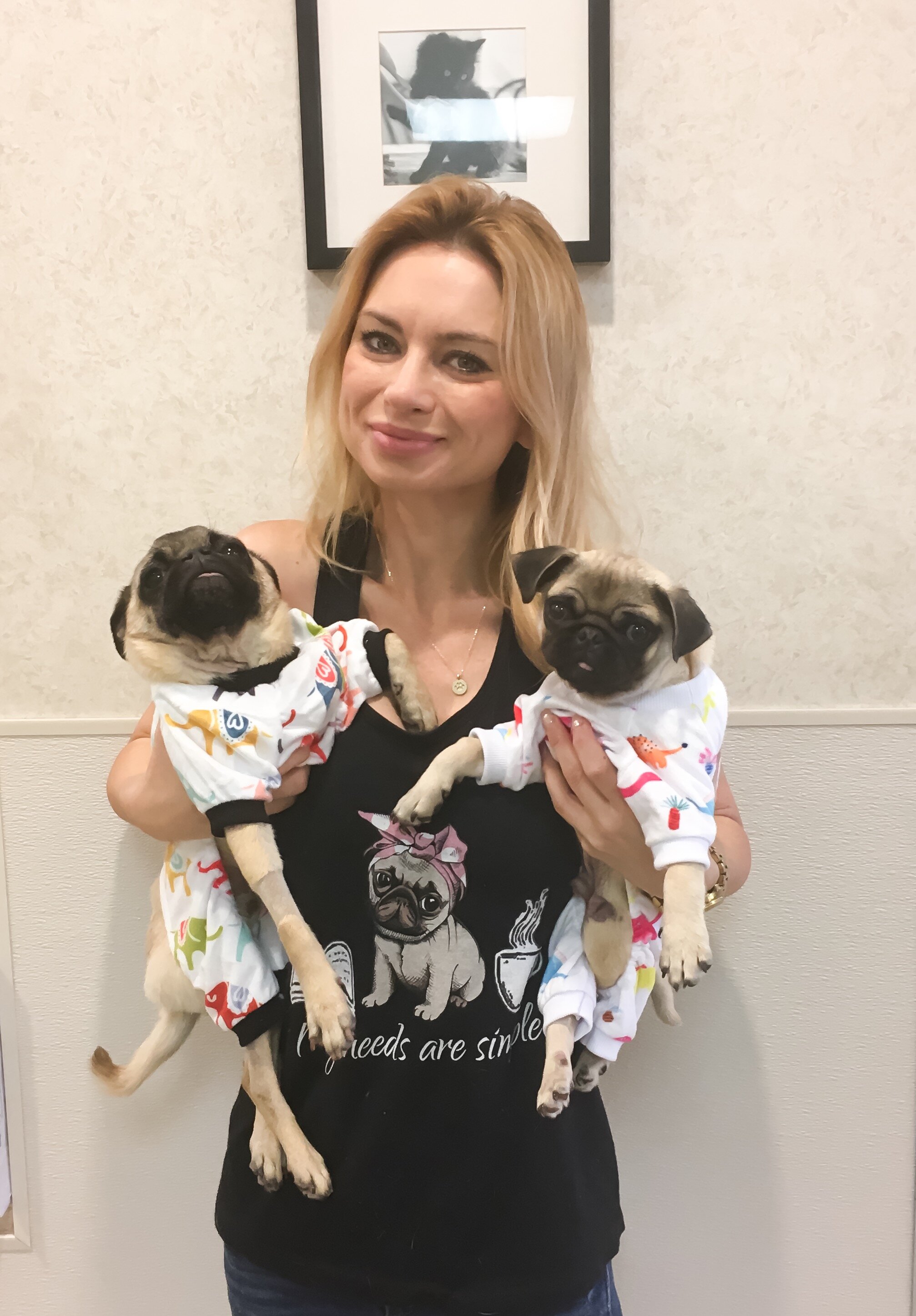 Frankie The Paralyzed Pug Wears Pajamas And Socks To Get Around Safely ...
