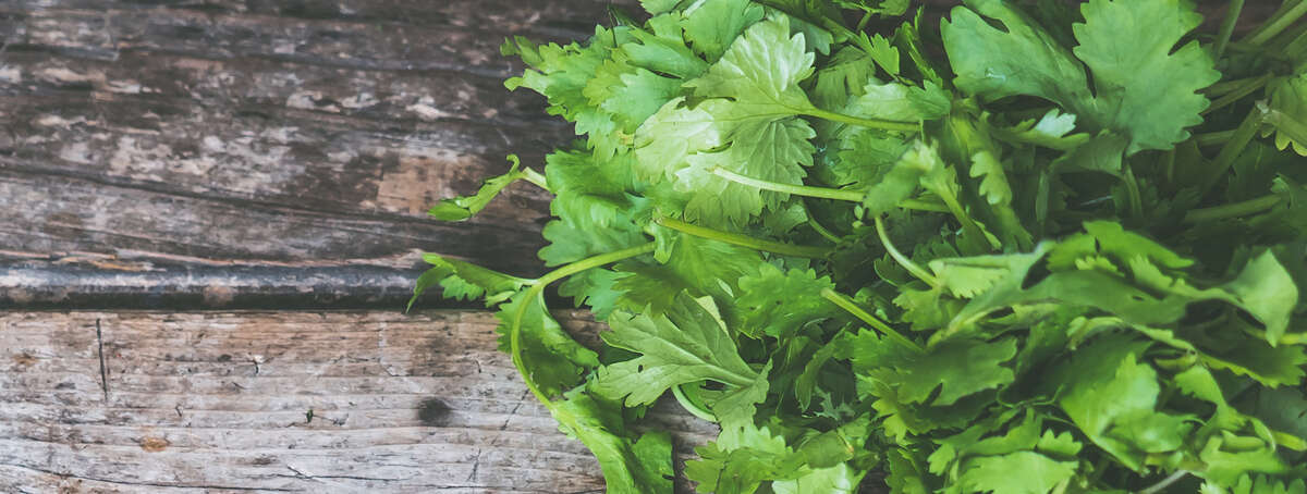 Cilantro Simple Syrup Recipe for Cocktails - Thrillist